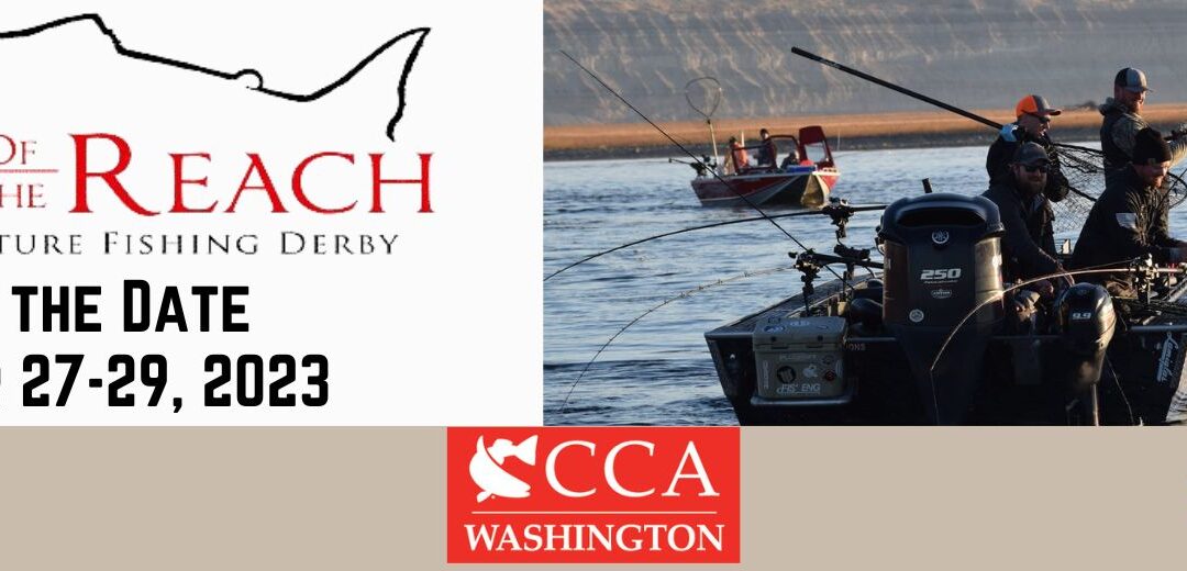 King of the reach | CCA Washington