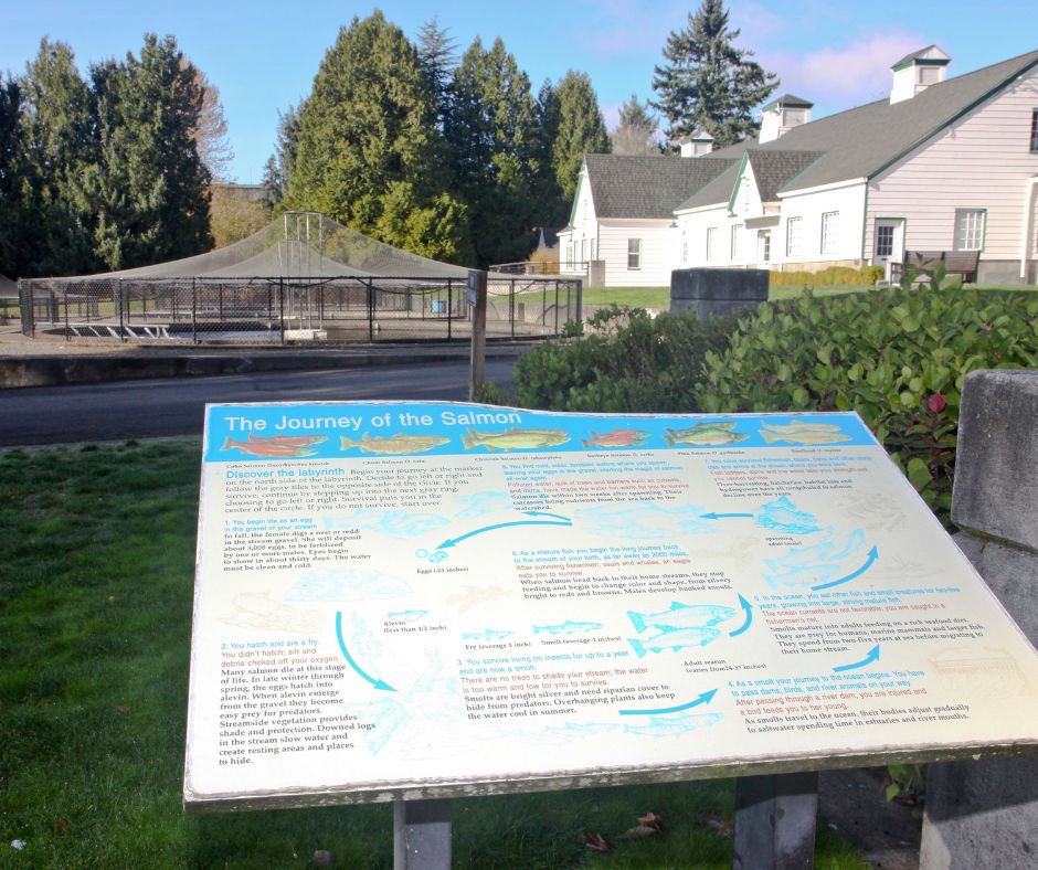 Washington Position Statements | CCA Washington