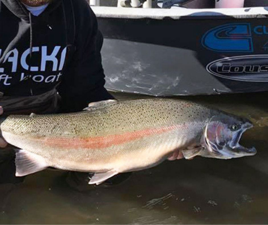 Washington Position Statements | CCA Washington