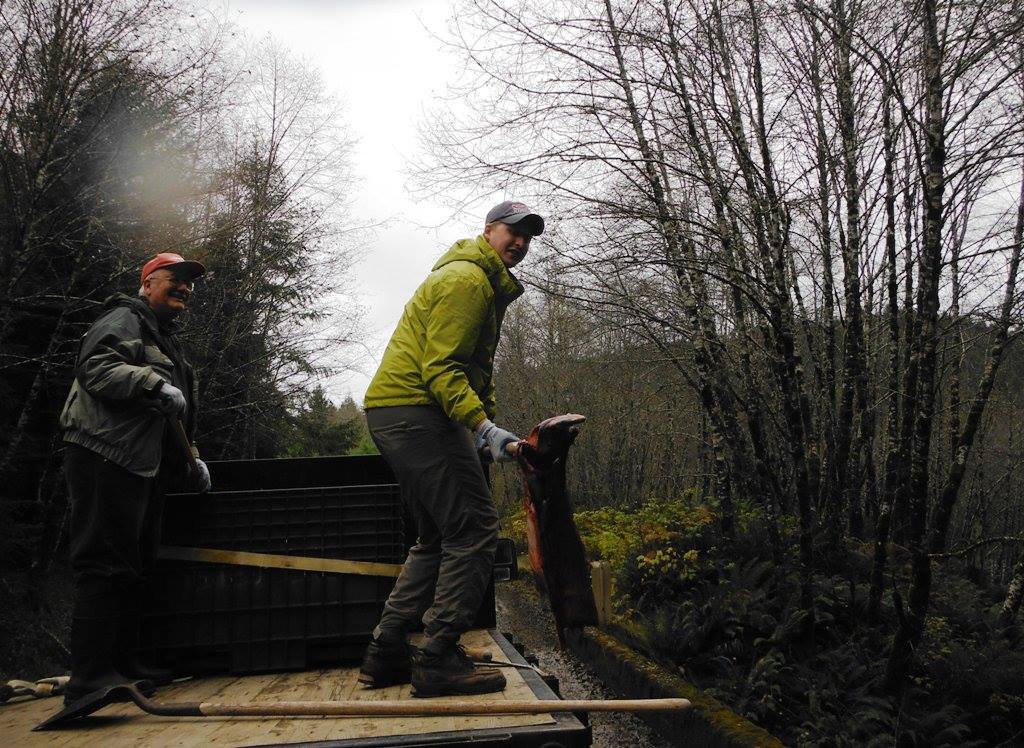 Washington Position Statements | CCA Washington