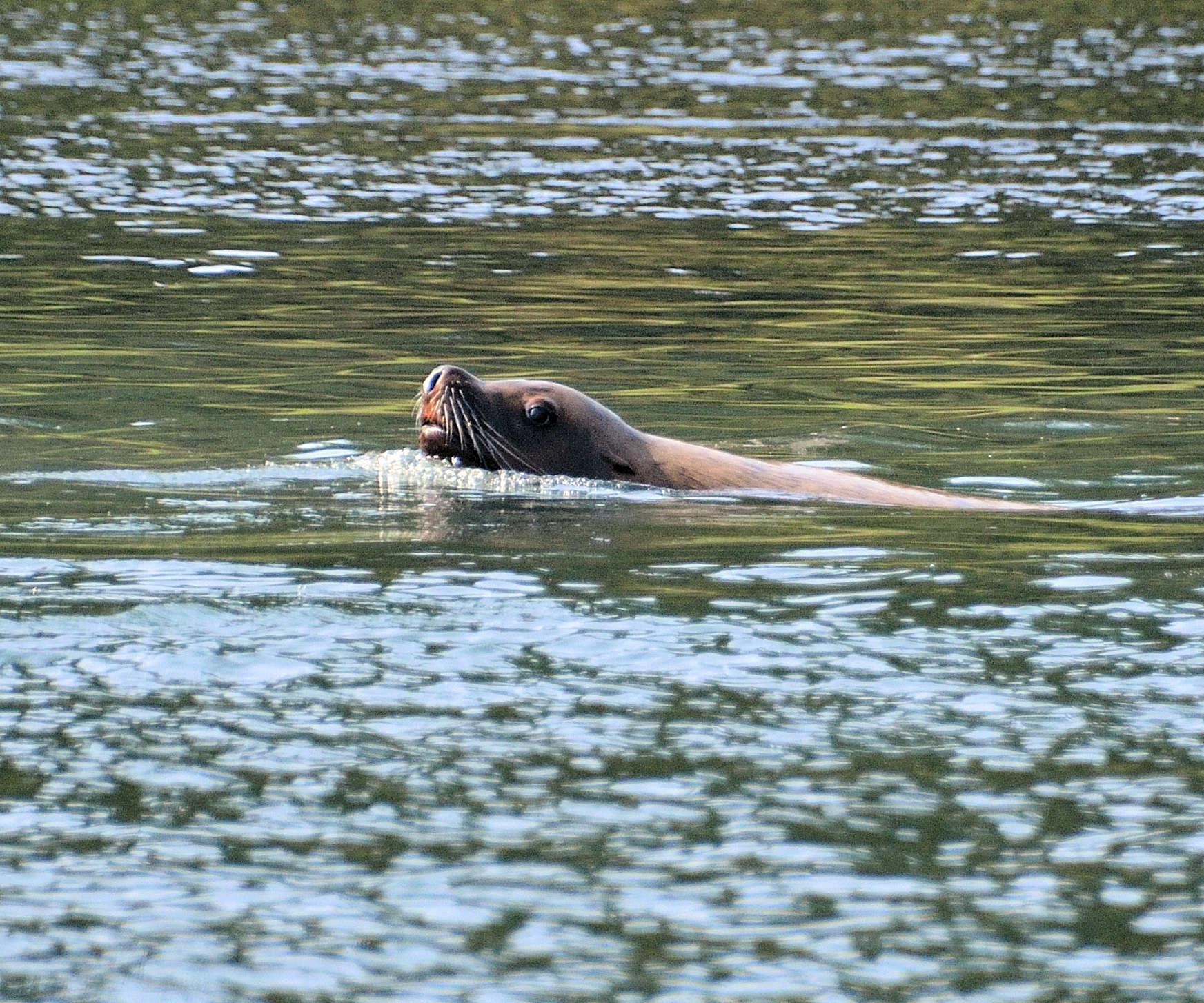 Washington Position Statements | CCA Washington